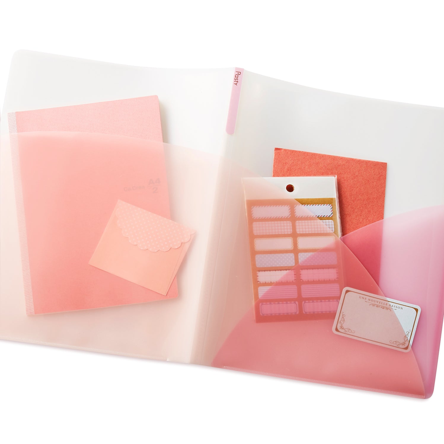 PLUS Clear File Organizers 20-Pages — Guard Your ID
