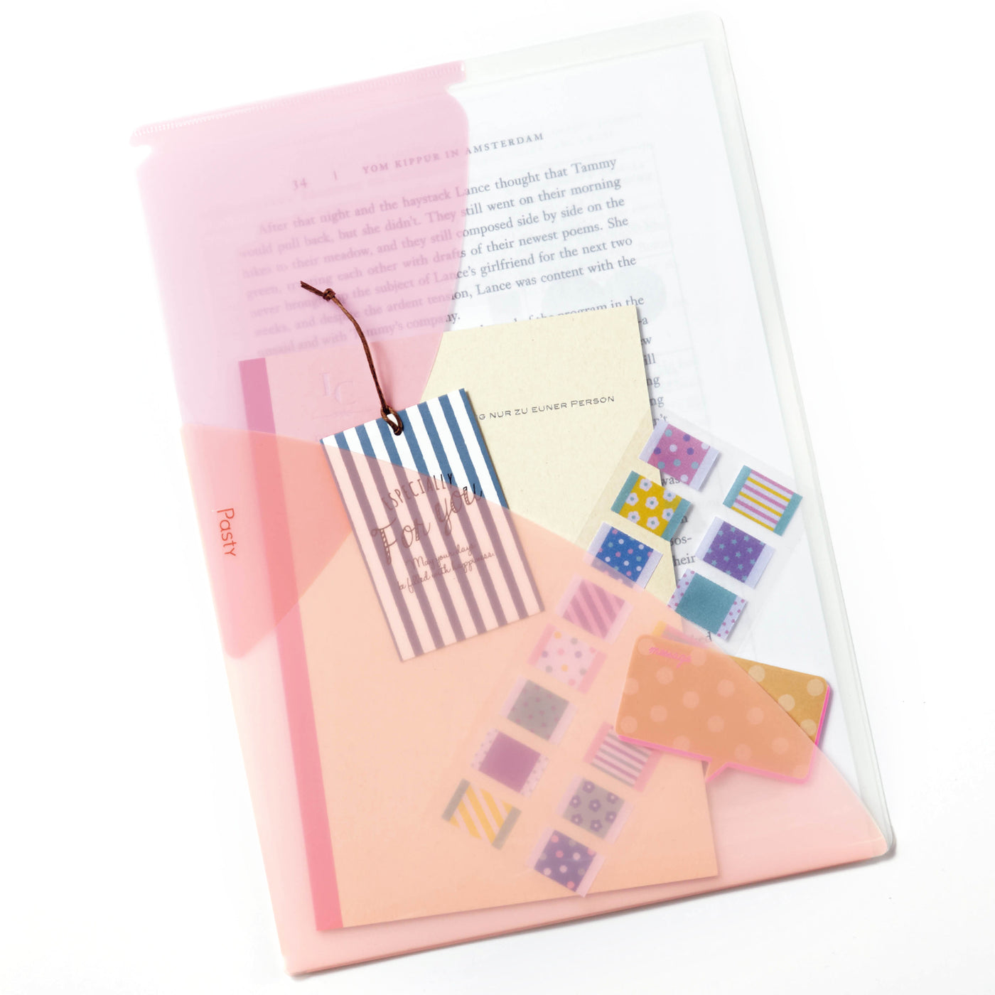 PLUS Clear Pocket File — Guard Your ID